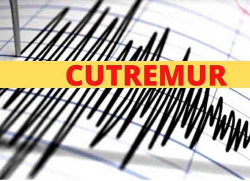 Hello5 | Este posibil să previi cutremure și animalele simt cutremu...